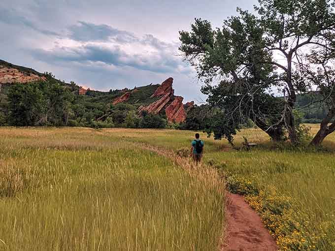 The trail beckons you forward through golden grasses, promising discoveries around every sun-drenched bend.