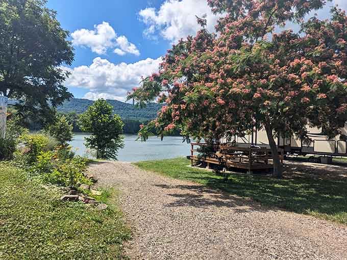 Flowering trees and river glimpses transform ordinary campsites into something worthy of a travel magazine spread.