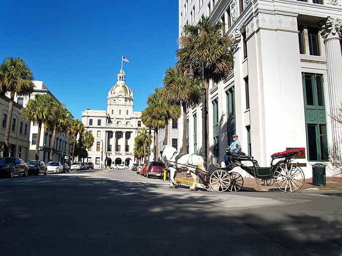 City Hall's dome anchors a streetscape where even the horse knows it's part of something timelessly photogenic.