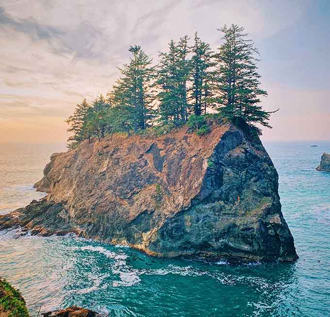 This tree-topped sea stack stands proud against the sunset, looking like a tiny island with excellent real estate.