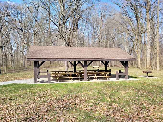 The perfect spot for a picnic where your biggest decision is which sandwich to eat first.