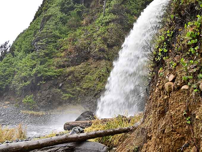 A seasonal waterfall adds unexpected drama to the landscape, proving Short Beach has layers of surprises waiting.
