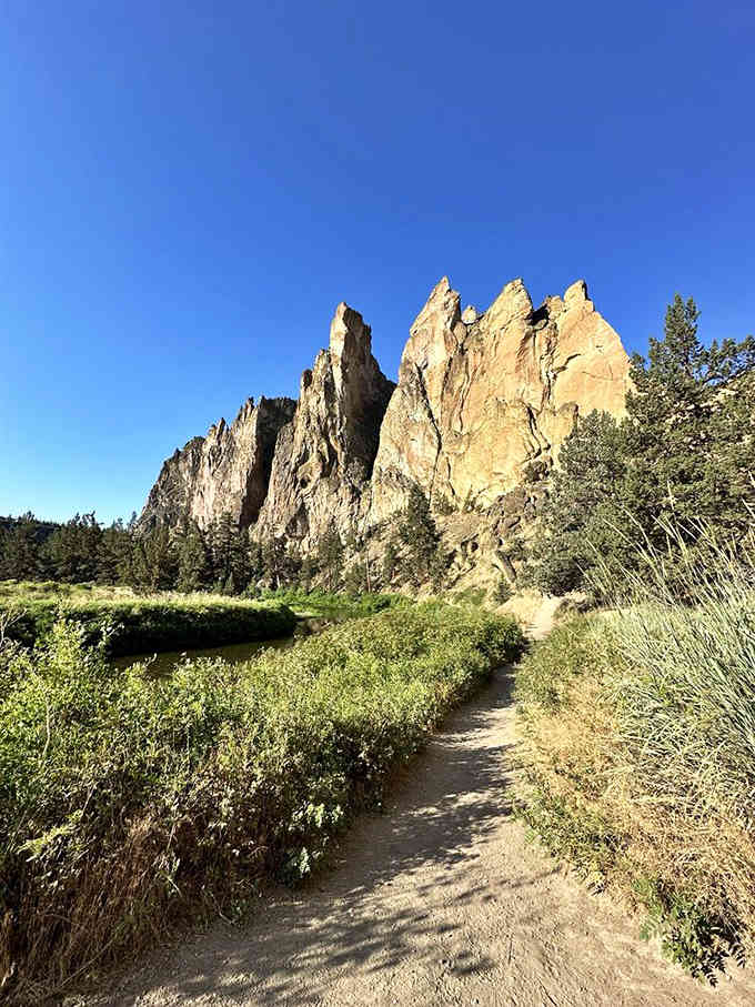 Golden hour transforms the canyon into a photographer's paradise, where even your phone camera produces frame-worthy shots instantly.