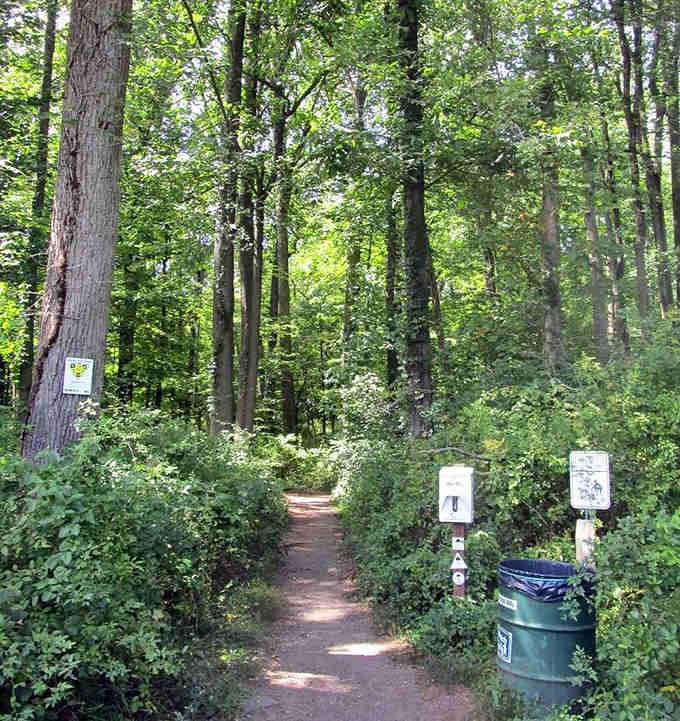 Trail entrances beckoning you into the forest, where the only traffic jam involves squirrels and fallen leaves.