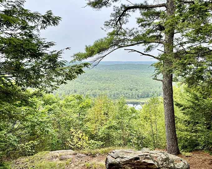 Jacobs Hill Overlook delivers views that make the hike worth every single step you took to get here.