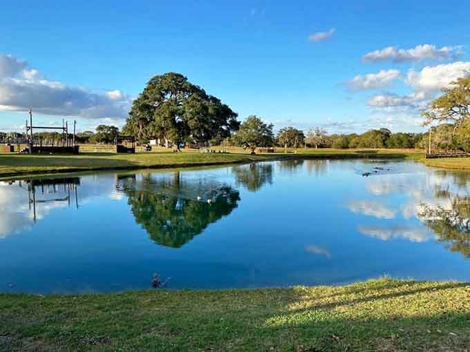 The pond reflects clouds so perfectly you might forget which way is up, which is oddly peaceful.