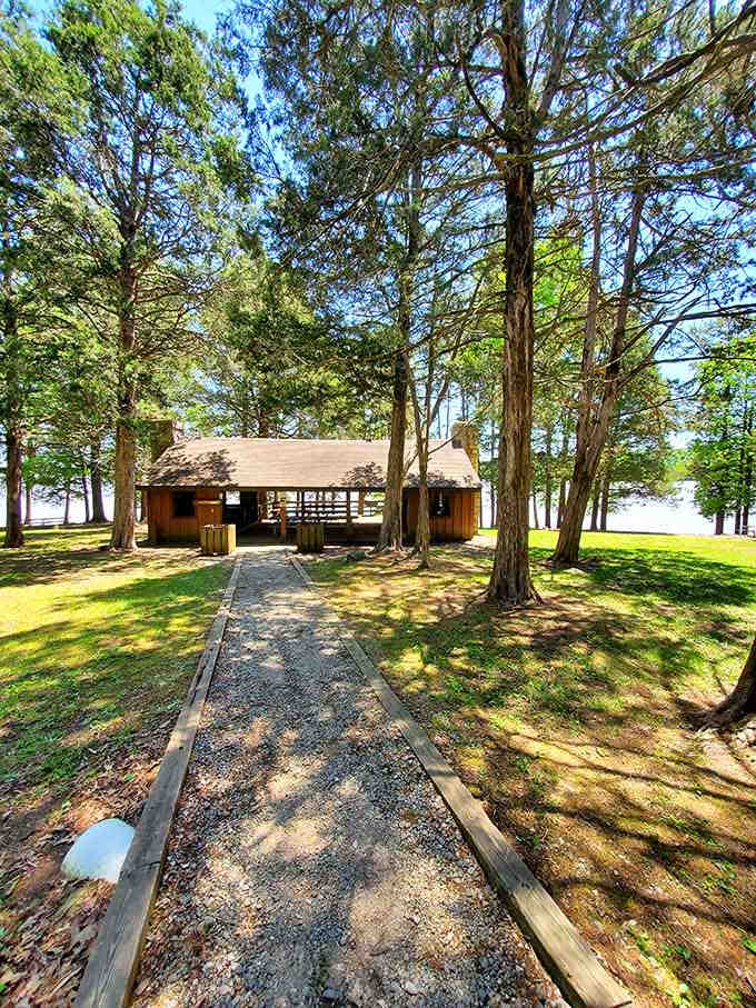 Lakeside cabin nestled in the pines where mornings start with coffee and absolutely zero traffic sounds.