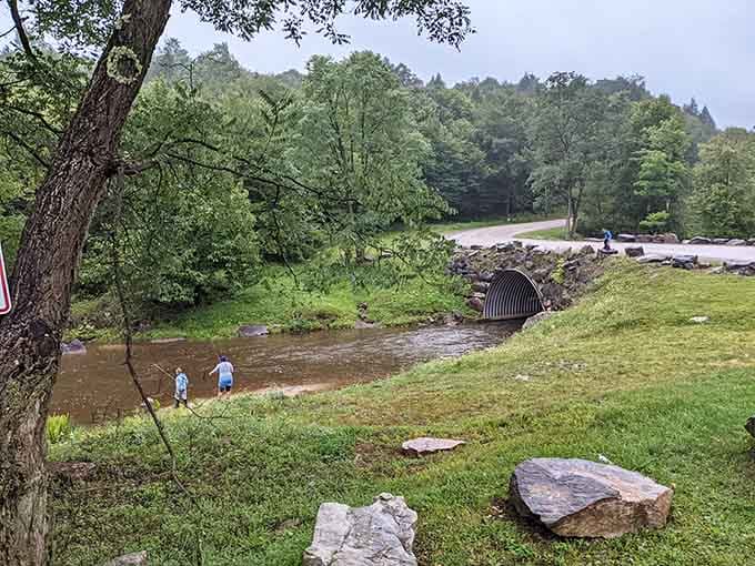 Kids discovering creek life while parents enjoy the rare sound of actual outdoor play happening.