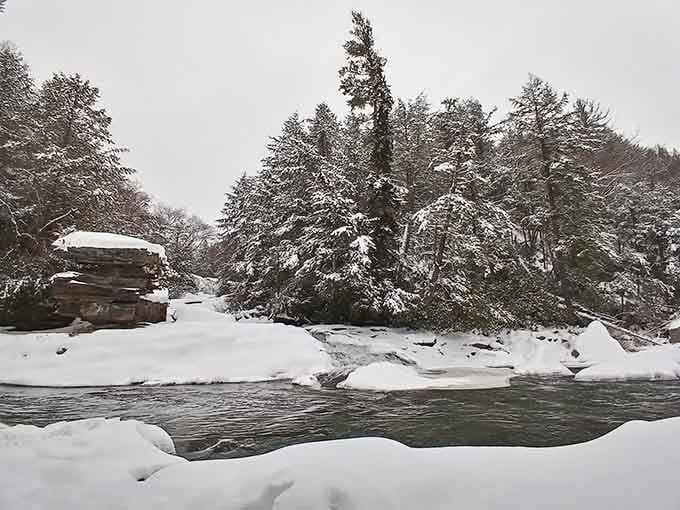 Winter transforms the park into a frozen wonderland where only the truly adventurous dare to tread.