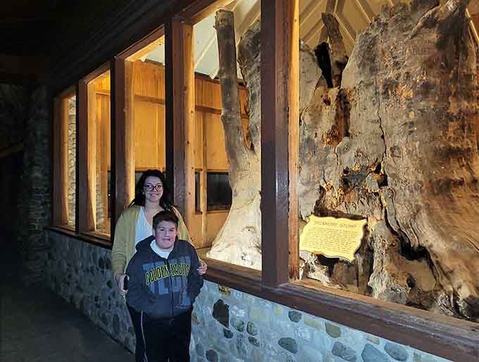 The stump provides the perfect backdrop for scale&mdash;these visitors help illustrate just how massive this thing really is.