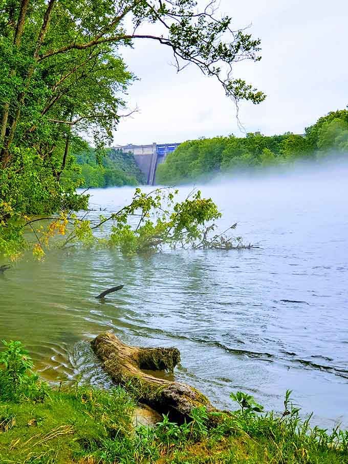 Morning mist rises off the water like something from a fantasy film, with the dam looming mysteriously beyond.