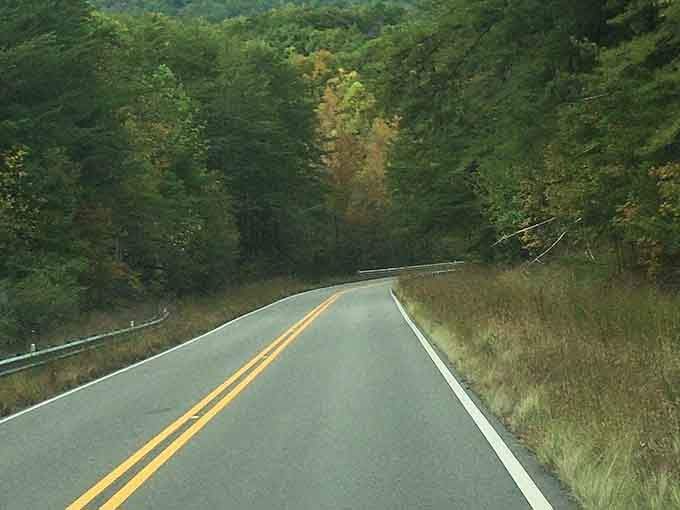 The road dips and rises like a gentle roller coaster, minus the screaming and overpriced funnel cakes at the end.