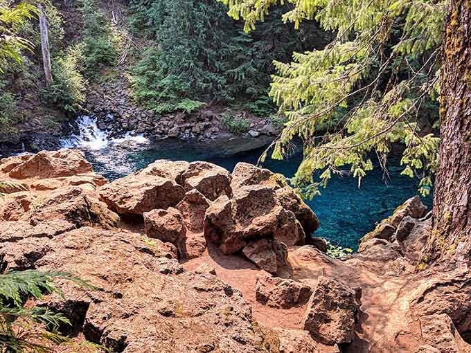These volcanic rocks tell stories thousands of years old, and they're not going anywhere anytime soon.