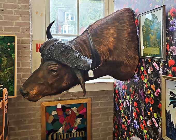 Nothing says "conversation piece" quite like a mounted buffalo head keeping watch over the vintage artwork below.