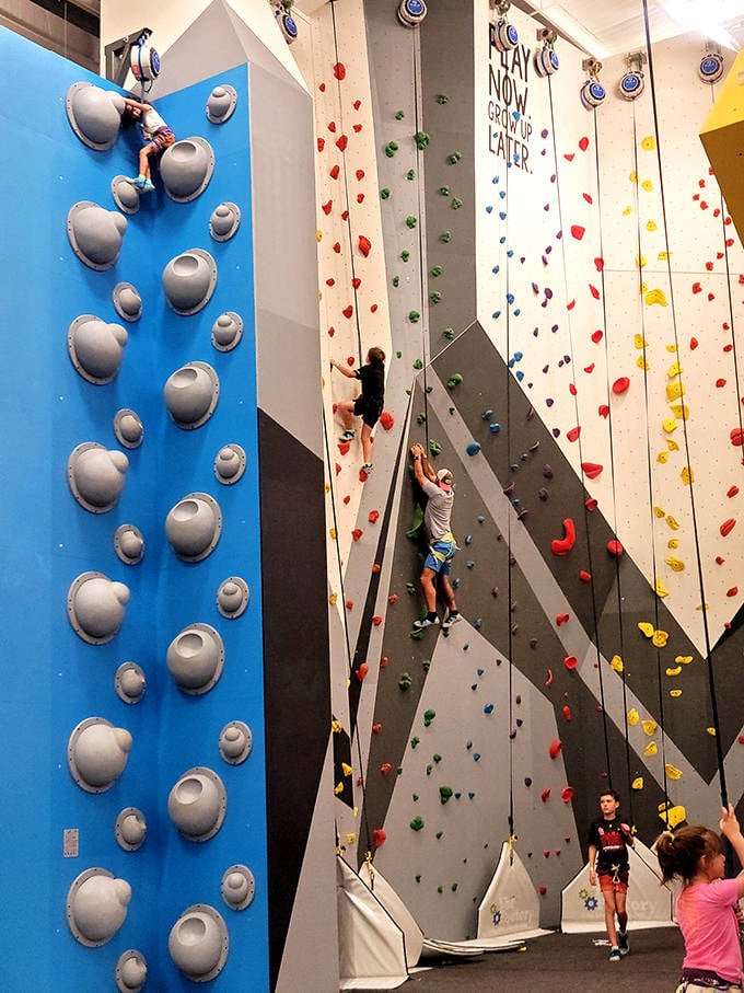 Multiple climbing surfaces offer challenges for everyone from nervous beginners to confident Spider-Man wannabes scaling the walls.