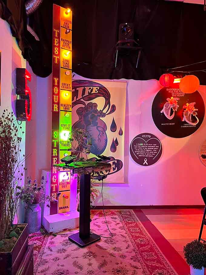 Vintage-inspired displays mix science, art, and whimsy in ways that make your brain and heart equally happy.