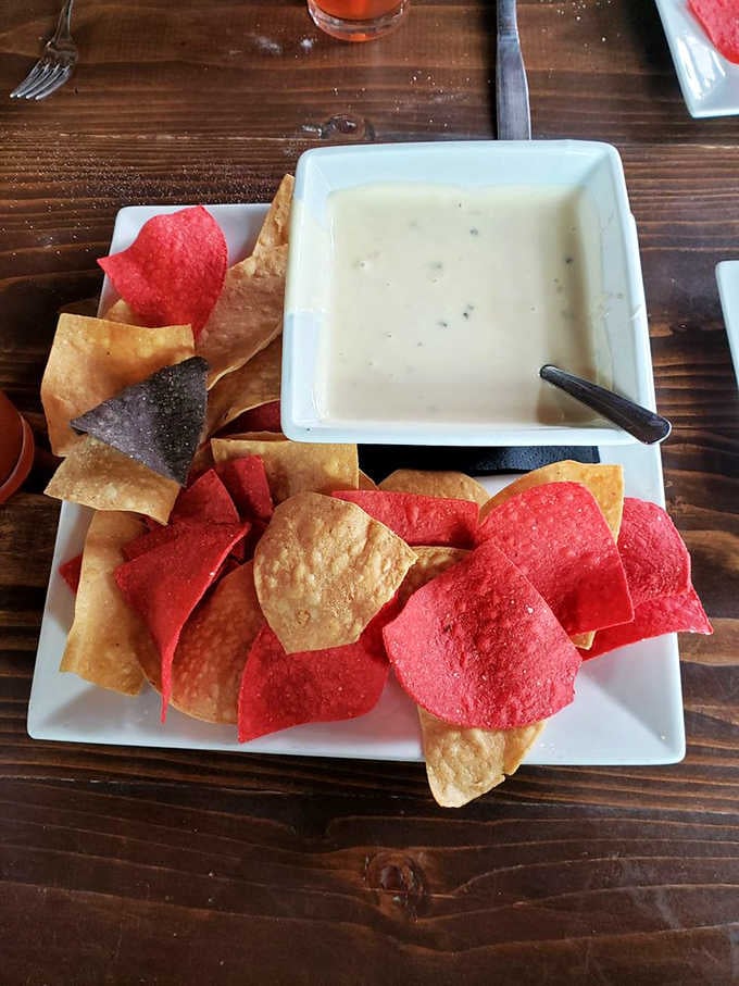 Tri-color chips with creamy queso is the kind of starter that makes you reconsider your entire meal plan.