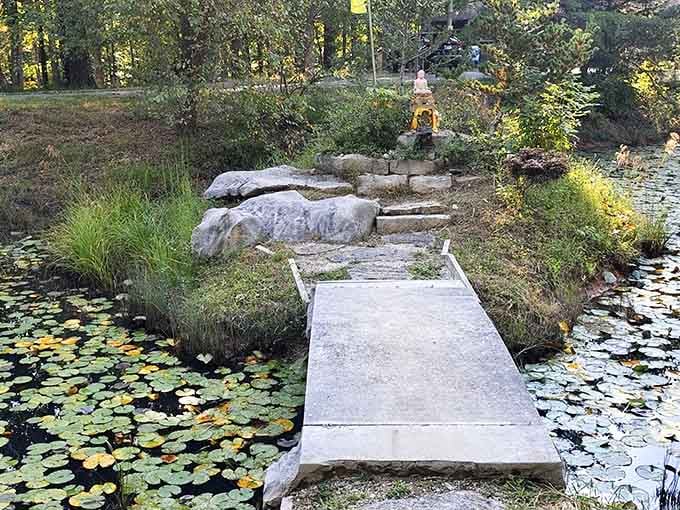 A peaceful pond with stepping stones invites contemplative walks that your fitness tracker will never fully understand or appreciate.