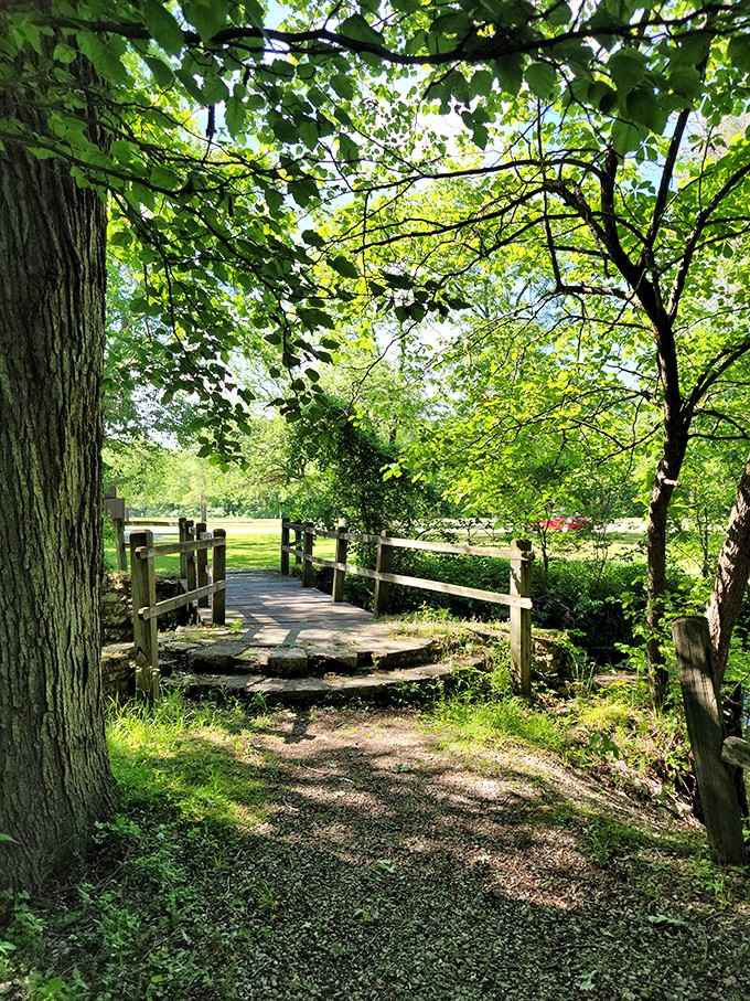 Bridges that connect you to nature and briefly make you feel like a landscape photographer.