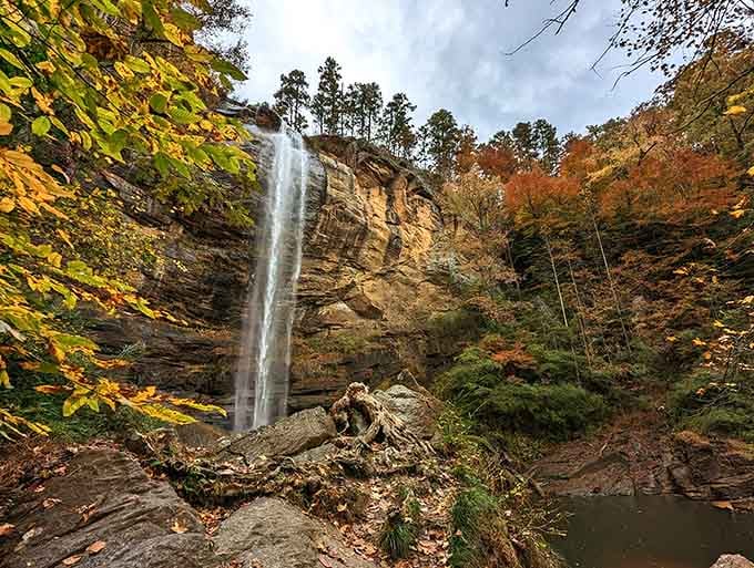 Autumn transforms the falls into a postcard, with fall colors framing the cascading water like nature's own artwork.