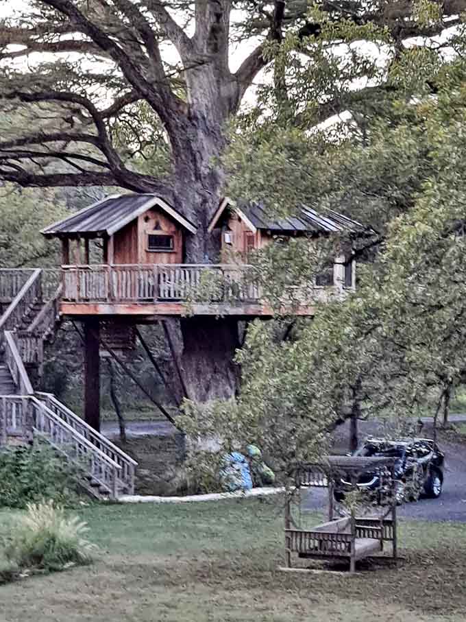 The Biblioteque treehouse sits peacefully among the trees, waiting for guests who appreciate both nature and good literature.