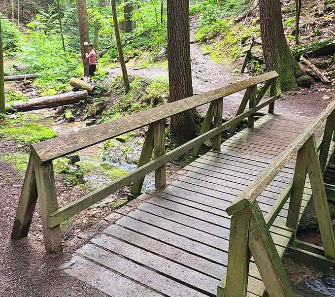 Simple wooden bridges like this prove that the best paths don't need to be complicated or fancy.