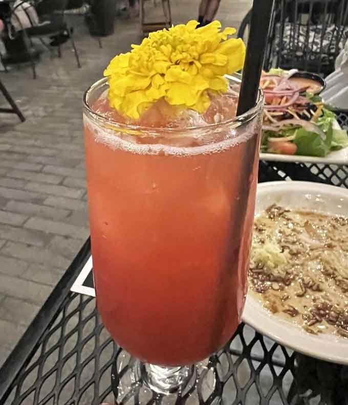 A blood orange spritzer garnished with an actual flower because sometimes drinks deserve fancy treatment.