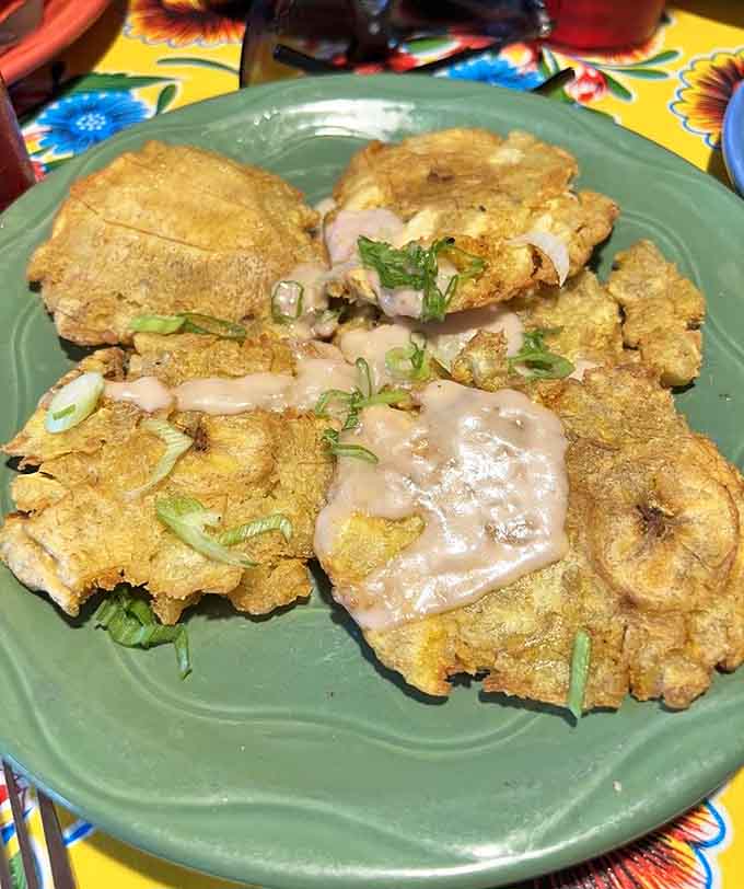 Tostones arrive like crispy little flavor bombs, proving that twice-fried plantains are absolutely worth the extra effort.