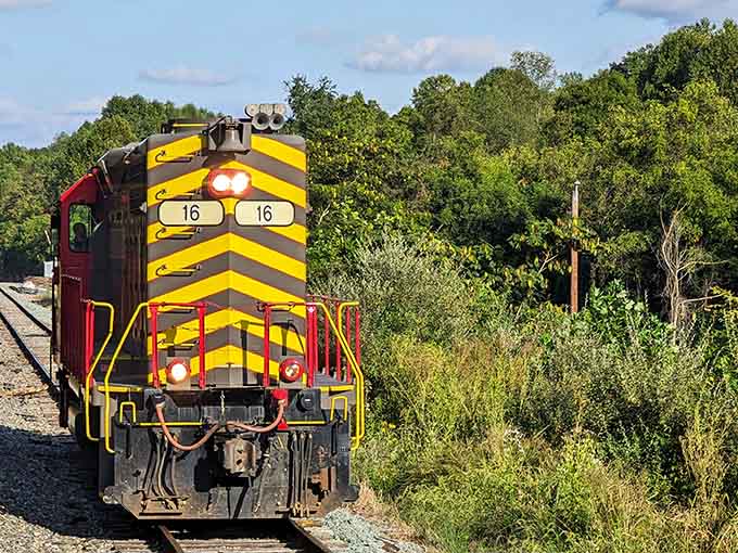 That vintage Alco locomotive wears its yellow and red livery like a badge of honor from railroading's golden age.