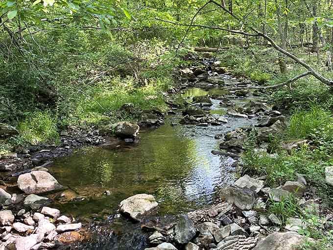 This gentle stream meanders through the park like it's got nowhere important to be, and honestly, same.
