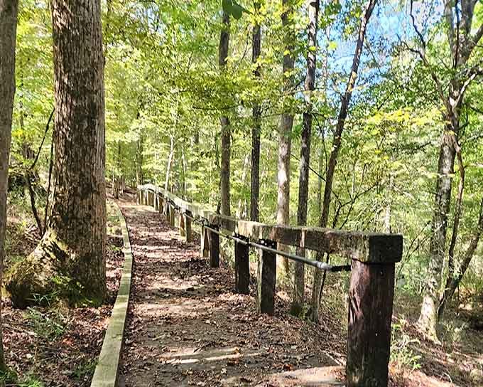 Wooden railings guide you through dappled forest light where Revolutionary War soldiers once changed the course of history.