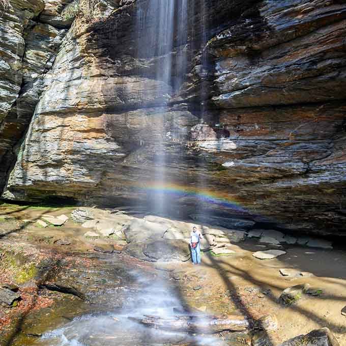 Moore Cove Falls creates its own cathedral where water and rock compose a symphony worth hearing.