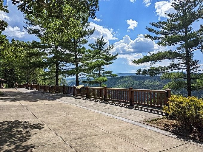 Leonard Harrison State Park's overlook delivers canyon views that'll have you questioning why you ever thought Pennsylvania was flat.