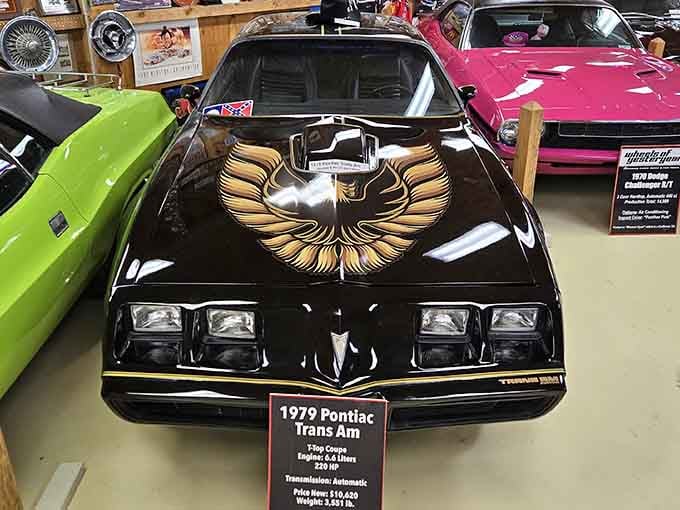 That golden Firebird hood screams 1979 louder than any disco ball ever could, and we're here for it.