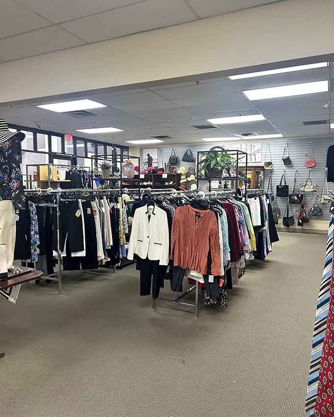 Designer labels hiding among everyday wear, like finding a first edition book at a garage sale.