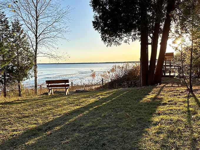 The perfect bench for contemplating life's big questions, like why you didn't visit sooner.
