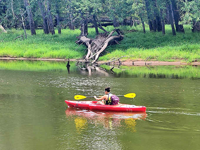 Paddling these calm backwaters lets you explore at your own pace, discovering hidden corners of natural beauty.