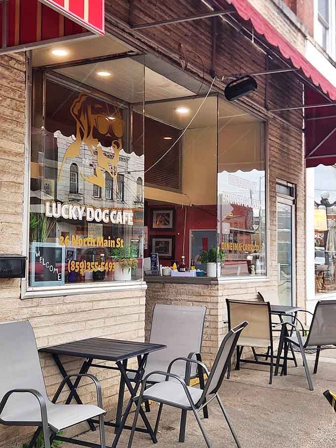 Lucky Dog Cafe serves up the kind of hometown cooking that makes you understand why people write songs about small towns.