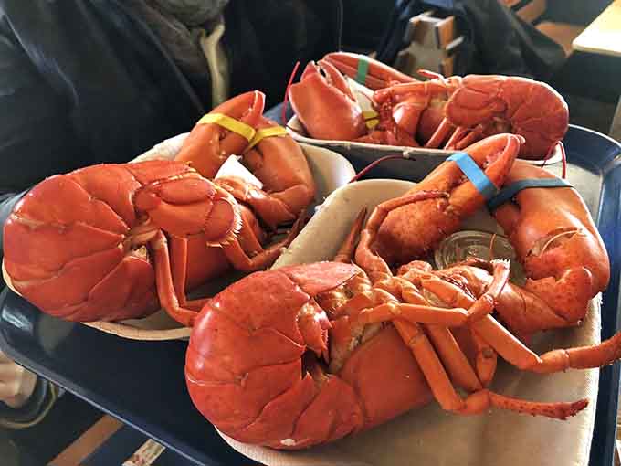 Bright red beauties ready to be cracked open, because sometimes simple preparation is pure genius.