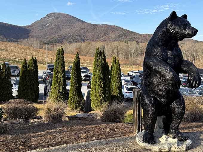 A bronze bear sculpture standing guard over the vineyard adds just the right touch of mountain whimsy.