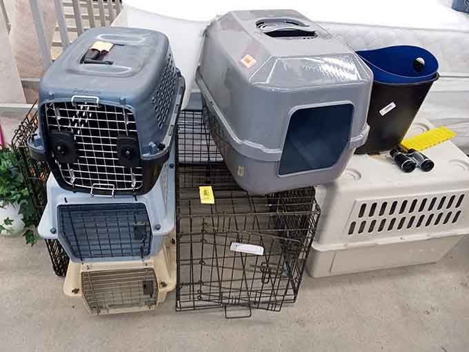 Pet carriers and cages for every furry friend, because your animals deserve quality gear too.