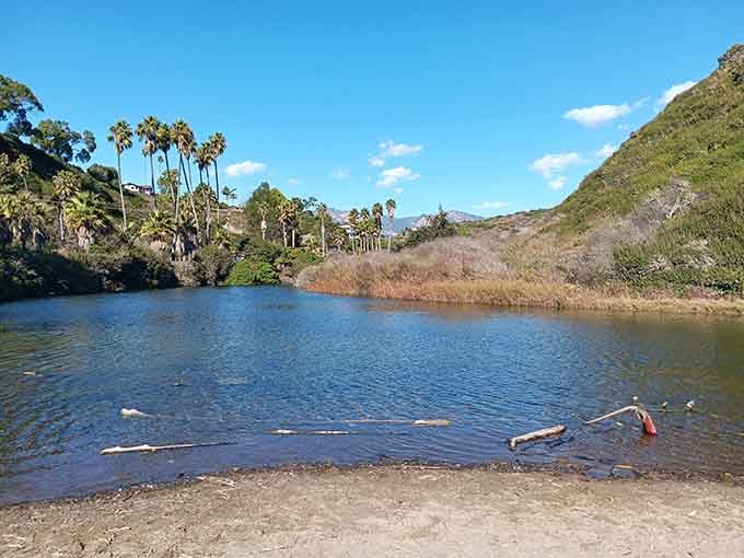 Palm trees frame a peaceful lagoon where hills meet water in this quiet corner of paradise.