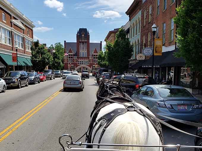 The horse knows the way through downtown, clip-clopping past historic buildings like it's 1823 all over again, partner.
