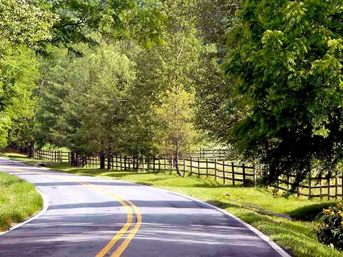 Black fencing guides you along gentle curves where horses probably graze and wonder why you're always rushing somewhere.