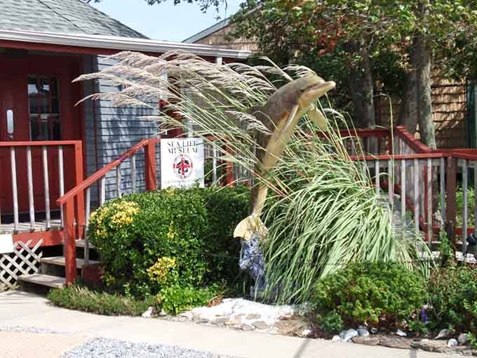 That whimsical dolphin sculpture welcomes visitors to a place where marine rescue meets education by the shore.