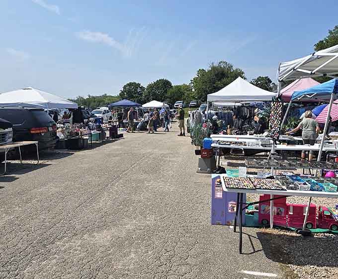 Tents and tables fill the parking lot, transforming ordinary pavement into an extraordinary shopping experience for savvy bargain hunters.
