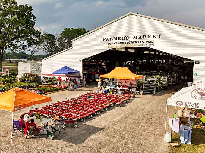 Bright red wagons overflow with fresh produce outside a barn that screams authentic agricultural charm and abundance.