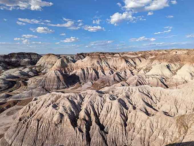 The Painted Desert's layered badlands look like someone folded the earth into waves of cream and rust.