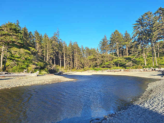 Where forest meets ocean in perfect harmony, this peaceful creek winds its way through towering evergreens to the sea.