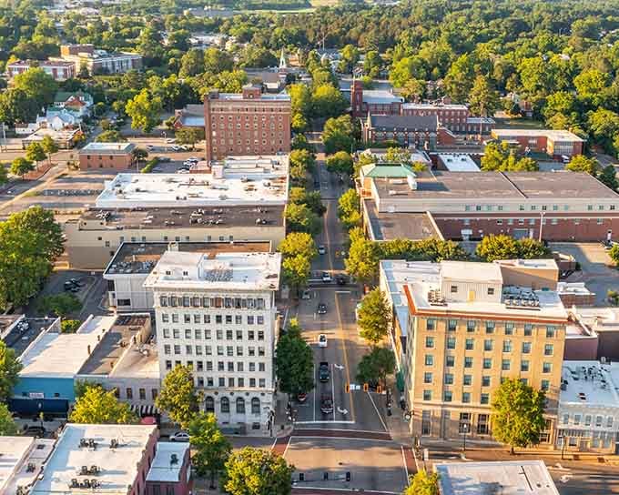 Tree canopy from above shows a downtown that invested in shade decades ago for today's retirees.